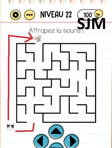 solution Brain Test Niveau 22 - android & iphone